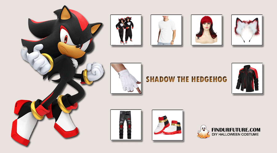 SHADOW THE HEDGEHOG DIY COSTUME GUIDE
